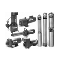 Turbine Pumps - Pump Solutions Australasia